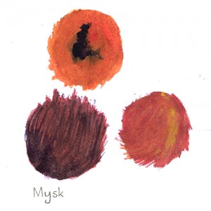 Mysk/musk - en sensuell och varm doftnot i parfym